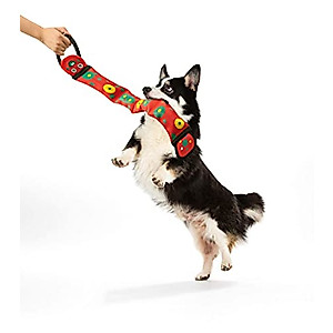 purrrfect life Fire Hose Interactive Squeaking Water Dog Toy, Dog Toy for Tug O War, Durable Dog Chew Toy with Squeakers, No Stuffing Dog Toy with Ropes for Small, Medium & Large Dogs