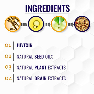 GK HAIR Global Keratin Silver Bombshell Purple Shampoo (9.5 Fl Oz/280ml) For Blonde, Platinum, Ash, Silver & Gray Hair Moisturizes Dry & Damaged Removes Yellow Brassy Tones