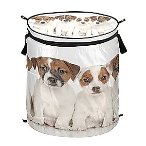xigua Jack Russell Terrier Puppies Pop Up Laundry Hamper Bucket Cylindric, Foldable Clothes Bag, Folding Washing Bin,Large Capacity Zipper Lid Laundry Storage Basket