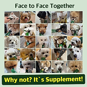 Doctor By Colostrum Protein for Dogs and Puppy – Weight Gain Supplement for Dog - Muscular Strength and Immune System Support with Colostrum, Whey Protein Isolate, Goat Milk – 30 Tubes