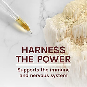 Host Defense, Lion's Mane Extract, Promotes Mental Clarity, Focus and Memory, Mushroom Supplement, Plain, 2 fl oz