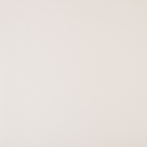 MICHAELS Shimmer Silver & Champagne 8.5”; x 11”; Cardstock Paper by Recollections®, 100 Sheets