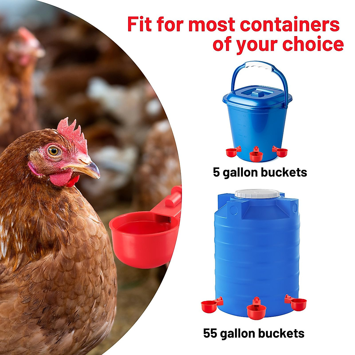 Sykria Chicken Water Cups, Automatic Waterer Kit for Poultry, 3/8 Inch Thread Filling Poultry Drinking Bowl Chicken, Ducks, Birds, Turkeys etc (6 Pack)