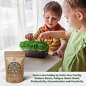 Cress Sprouting & Microgreens Seeds - Non-GMO, Heirloom Sprout Seeds Kit in Bulk 1lb Resealable Bag for Planting & Growing Microgreens in Soil, Coconut Coir, Garden, Aerogarden & Hydroponic System.