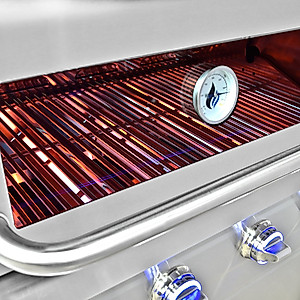 3 Embers 4-Burner Dual Fuel Propane Gas Grill with Radiant Embers Cooking System