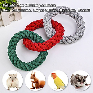 2 Pack Sugar Glider Hanging Three-Ring Climbing Toys, Colorful Sugar Glider Swing Toys, Sugar Glider Hamster Rats Toys, Cage Accessories for Sugar Glider Ferret Hamster Squirrel Chinchilla Parrots