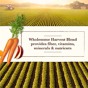 Whole Earth Farms Grain Free and Healthy Grains All Breed Canned Wet Dog and Puppy Food (Case of 12)