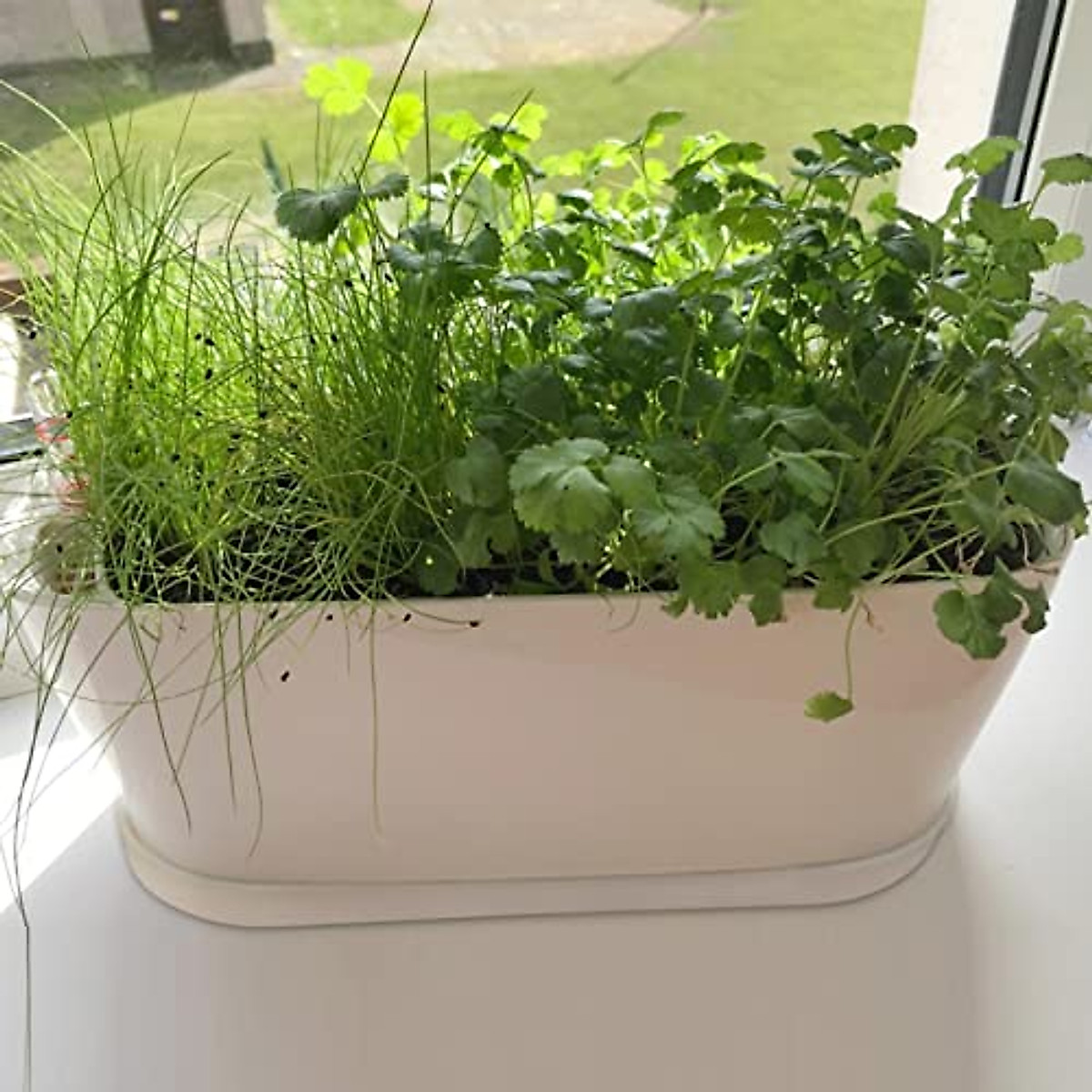 Torfican 5 Set Window Herb Planter Box Rectangular,8.5x3.5 Inch White Plastic Planters with Multiple Drainage Holes and Trays,Indoor Succulent Cactus Mint Flower Pot for Windowsill,Garden Balcony