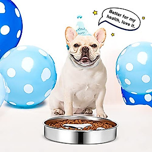 AIPERRO Slow Feeder Dog Bowls 304 Stainless Steel, 2 Cups Metal Food Bowls, Water Bowl for Small & Medium Sized Dogs, Fun Bloat Stop Pet Fast Eaters
