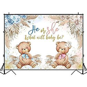 Avezano Boho Bear Gender Reveal Backdrop He or She Party Decorations Pink or Blue Pampas Grass Gender Reveal Party Photography Background Bohemian Bear Gender Reveal Decorations Photoshoot (7x5ft)