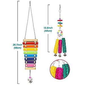 Woiworco 6 Packs Chicken Toys for Coop, Chicken Xylophone Toy for Hens, Chicken Ladder Swing Toys, Chicken Pecking Toys, and Vegetable Hanging Feeder for Chicken Bird Parrot Chicken Coop Accessories