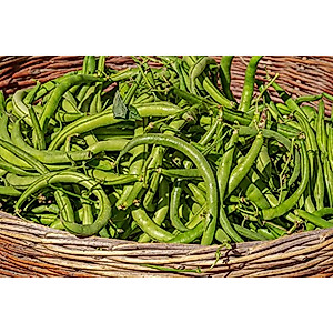 Set of 25 Premium Vegetable & Herb Seeds - 25 Deluxe Variety Premium Vegetable & Herb Garden 100% Non-GMO Heirloom