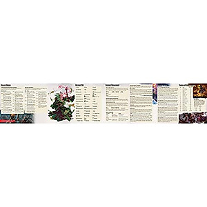 Gale Force Nine Dungeon of The Mad Mage - DM Screen, Multicolor (GFN73710)