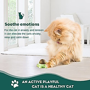Catnip Ball Toy for Cats Wall 4 Pack Cat Nips Organic Ball Edible Kitten Toys Interactive Cat Lick Chew Toy Indoor Cat Toy Treats for Cat Teeth Cleaning Relieve Cat Anxiety