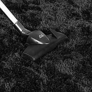 AROGAN Luxury Soft Area Rugs for Bedroom Living Room Plush Shag Rug 4x6 Feet, Black Fluffy Rug for Kids Girls Playroom Dorm Room, Shag Shag Fuzzy Carpets Plush Rug for Teen Room Nursery Decor