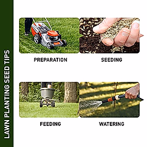 Hancock Seed Co. Common Bermuda Grass Seeds- Raw & Unhulled - 5 lbs.