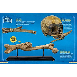 Ripley's Believe It Or Not! Escape the Ordinary (19) (ANNUAL)