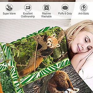 Red Panda Blanket Gifts, 30"x40" Red Panda Throw Soft Flannel Blanket for Kids Adults, Warm Lightweight Cozy Fuzzy Plush Red Panda Lover Gifts for Bed Couch