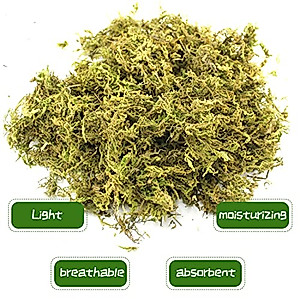 Hamiledyi Reptile Forest Moss,Premium Sphagnum Moss Reptile Terrarium Substrate Moss Bedding for Bearded Dragon Lizard Chamelon Gecko Iguana Snake Tarantula(100g/3.5 Oz)