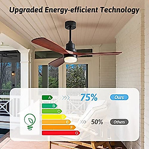 WERBUY 52" Ceiling Fans with Lights Wireless Wall Control and Remote, Wood Ceiling Fan with Quiet Reversible DC Motor/Sleep Timer/6 Speeds, for Outdoor Indoor Bedroom Patios Farmhouse Living Room