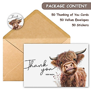 HiABNRT 50 Pack Highland Cow Thank You Cards with Envelopes, 4x6 In Farm Design Greeting Cards Sympathy Cards Bulk for Wedding, Baby & Bridal Shower- with Stickers