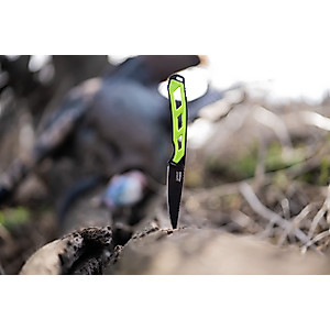 Schrade Delta Class Isolate Caper Fixed Blade 7.5in with 3in AUS-10 Steel Blade and Non-Slip Grip for Hunting