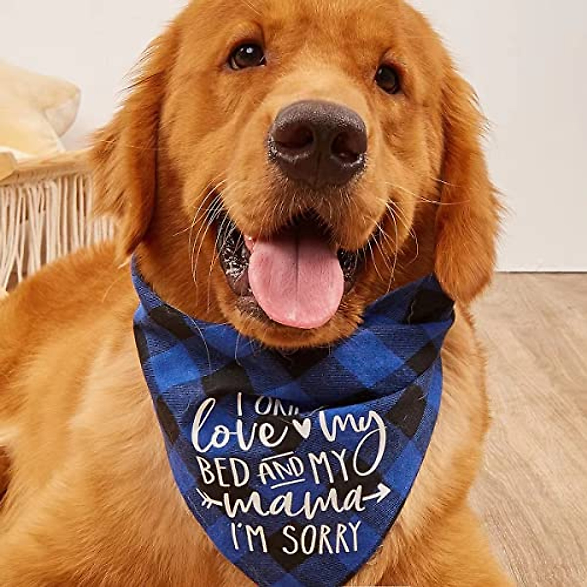 Ming Heng Funny Cute Blue Plaid Pet Dog Cat Bandana Scarf,I Only Love My Bed and My Mama, I'm Sorry,Puppy Dog Scarf Pet Birthday Gift