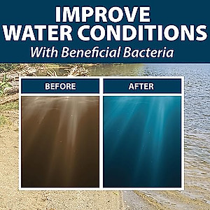 Airmax Pond Dye Plus, Twilight Blue Colorant & Natural Beneficial Bacteria, Large Pond & Lake Water Clarifier & Color Treatment, Shade Plants & Algae from Sunlight, Fish & Livestock Safe, 1 Gallon