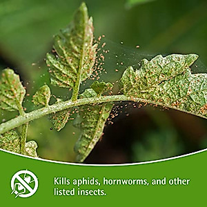 Garden Safe Fungicide3