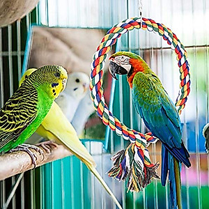Bird Rope Toy，Round Circle Rings Colorful Cotton Rope Swing Toy Pet Bird Standing Playing Chewing Perches Loop for Parrot Parakeet Bungee Canary Cockatiel Lovebirds