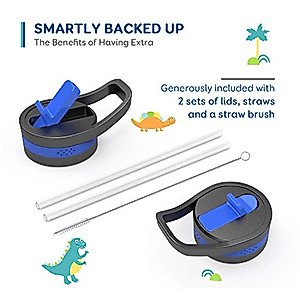 BUZIO Insulated Water Bottle for Kids, Modern Vacuum Insulated Hydro Bottle with 2 Straw Lids, 14oz Double Walled Wide Mouth Sports Drink Flask with Blue Dinosaur Park, Simple Thermo Canteen Mug Cup