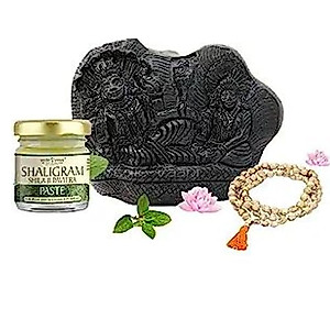 Vedic Vaani The Rarest Sculpture Laksmi Narayana Sacred Blessings Shaligram (Pack of 3)