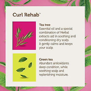 Curl Rehab Scalp Care Dual Treatment Packette 4.8oz (1) and Curl Rehab Scalp Care 2-in-1 Shampoo Conditioner 16oz (1)