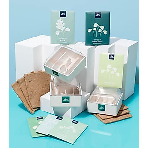 Urban Leaf Microgreens Growing Kit - Radish (Raphanus sativa), Kale (Brassica napus var pabularia), Rainbow Mix, Mustard (Brassica juncea), Spicy Mix and Broccoli Microgreens Seeds (Brassica oleracea)