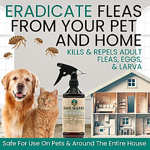 Trail Guard Natural Extra Strength Insect, Flea and Tick Spray for Dogs, Cats, People & Home - 16oz Plant-Based Insect & Tick Repellent for Dogs - Kid Safe - DEET Free (16oz)