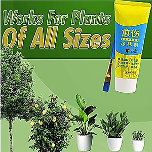 2pcs Plant Restoring Regrowth Sealant, Tree Pruning Sealer, Plant Restoring Regrowth Sealant, Tree Wound Bonsai Cut Paste, Bonsai Tree Wound Paste