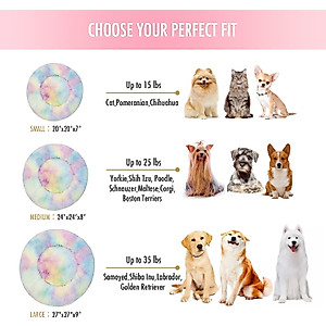 Cat Beds for Indoor Cats - Cat Bed Washable 24 inches, Dog Beds for Small Medium Dogs, Anti Anxiety Round Fluffy Plush Faux Fur Cat Bed, Thick Bottom (Rainbow, Large)