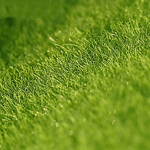 SUN-E 2 Pcs Life-Like Fairy Artificial Grass 12''x 12'' (30 X 30CM) Miniature Ornament Garden Dollhouse