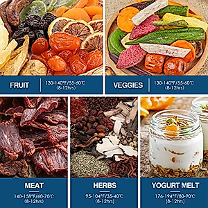 KITIDEA Food Dehydrator, 9 Stainless Steel Trays Dehydrator for Food and Jerky, Herbs, Veggies, Fruits, 1000W Electric Food Dryer Machine with Digital Temperature and Timer, Recipe Book Included