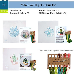 Highkick Embroidery Starter Kits for Adults Beginners with Stamped Pattern, Embroidery Floss + Needles + Hoop, Cactus Series, 3 Pack