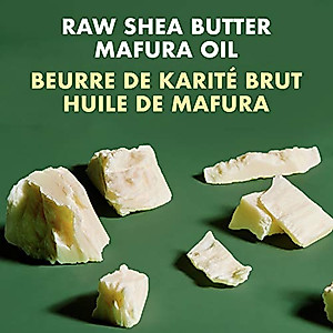 SheaMoisture Men Body Wash Cleanser to Clean and Hydrate Skin Raw Shea Butter and Mafura Oil Moisturizing 15 fl oz