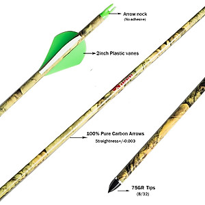Linkboy Archery Carbon Arrows Hunting Practice Target Arrows with Removable Tip for Compound Recurve Long Bows, Spine 300 340 400 500 600, Pack of 12PCS