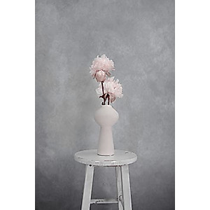 Kate 5x7ft Light Grey Backdrops Abstract Photography Backdrop for Professional Studio Backgrounds