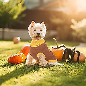 HUMLANJ Thanksgiving Knitted Dog Turtleneck Sweater Dog Sweaters Turkey Warm Pullover Sleeveless with Leash Hole for Puppy Doggy Doggie Yorkshire Chihuahua Pug