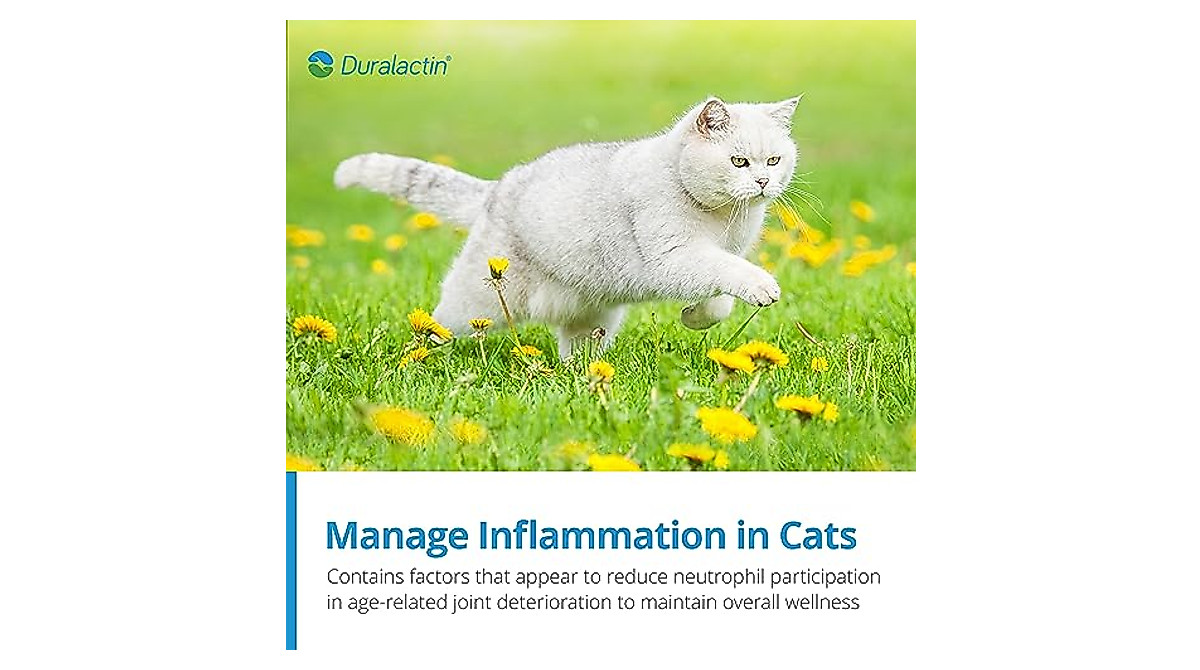 PRN Pharmacal Duralactin: Joint Health for Cats
