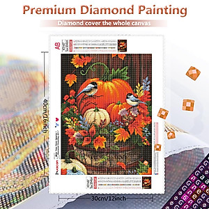 Huacan Diamond Painting Kits, Full Square Drill Diamond Painting Kits for Adults, Pumpkin Diamond Paint by Diamond, DIY 5D Diamond Art Kit for Beginner Home Wall Decor Fall Bird 11.8x15.7in/30x40cm