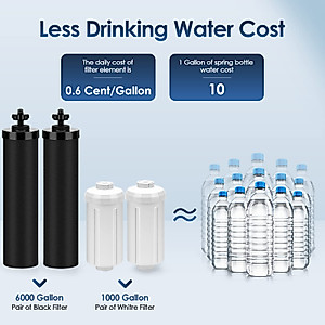 Water Filter Replacement & Primer Hand-Powered Filter Primer Pump For Activated Carbon Water Filter Pack of 2, Compatible with Berkey Big, Light, Imperial, Travel Series