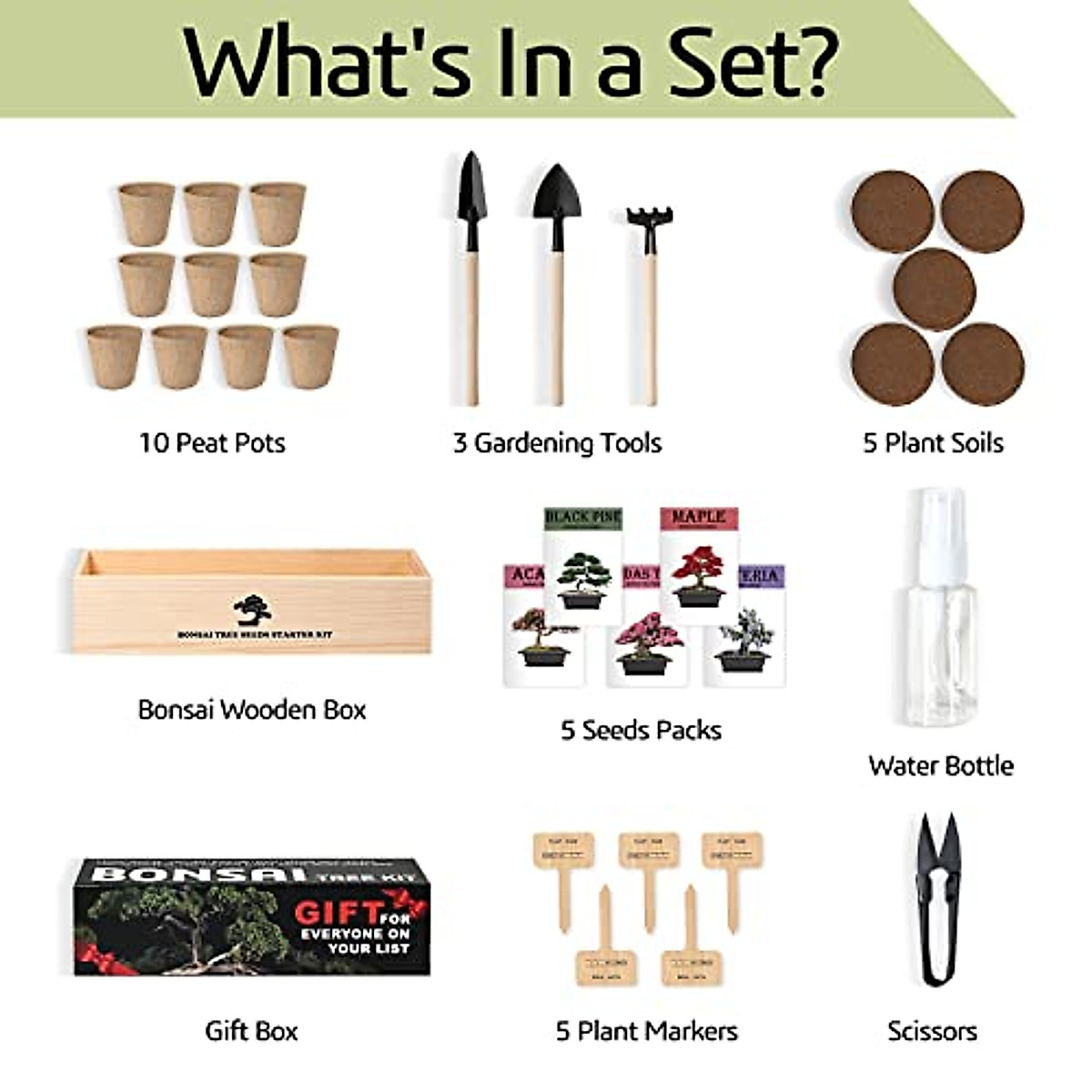 Meekear 5 Bonsai Tree Seeds with Complete Growing Kit & Wooden Flower Box Starter Kit, Great Potted Growing DIY Gift for Adults