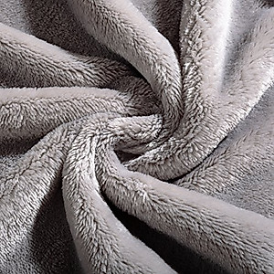 Reafort Ultra Soft Flannel Fleece All Season Light Weight Living Room/Bedroom Warm Blanket (Silver Grey, Throw 50"X60")