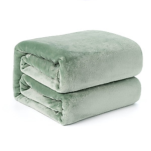 Mellowdy Plush Flannel Blanket Cozy Warm Comfy Soft Fleece Fall Fuzzy Throw Blanket for Couch Sofa Chair Bed Camping Traveling Twin Size (Iceberg Green, 60x80 inches) - 320GSM